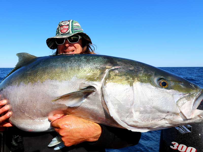 Angry Angry Fish Vs Fisherman